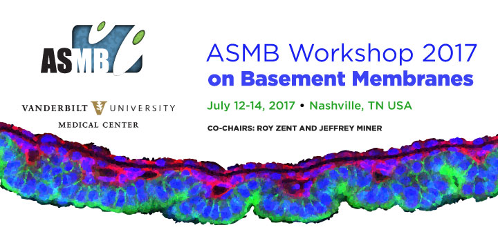 ASMB Workshop 2017 on Basement Membranes -Travel Awards available- | SFBMEc